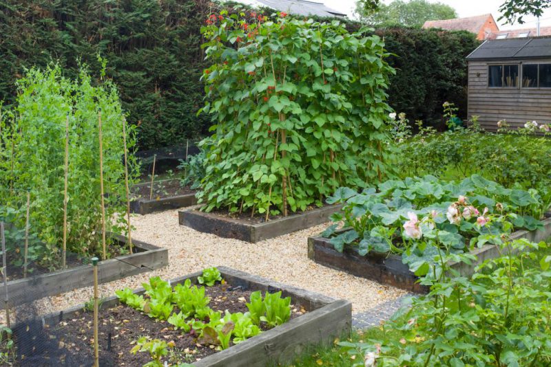 inrichting van je tuin: 4 tips voor je begint - MeerVanMir