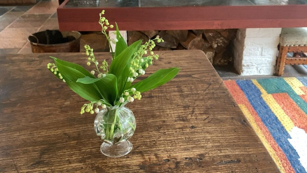 Oma Bobje vertelt: lelietjes-van-dalen - MeerVanMir